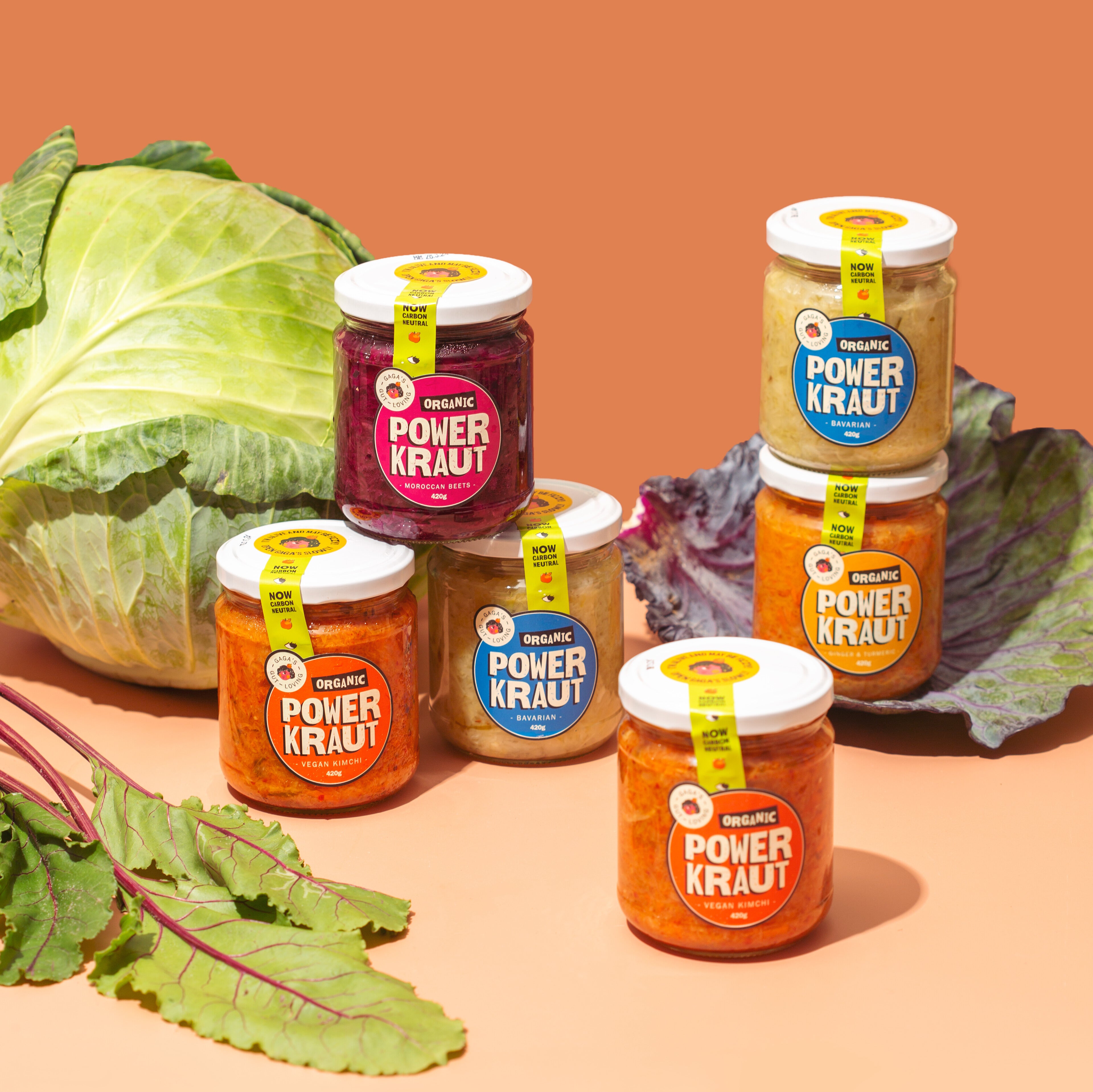 Gaga's Organic Power Kraut | Box of 6 – Gaga’s Gut Loving Ferments